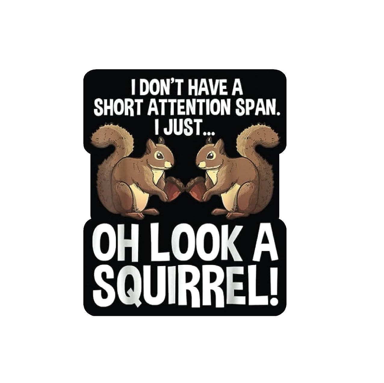 #3761A ADHD Squirrel | Car Pretty Inc.