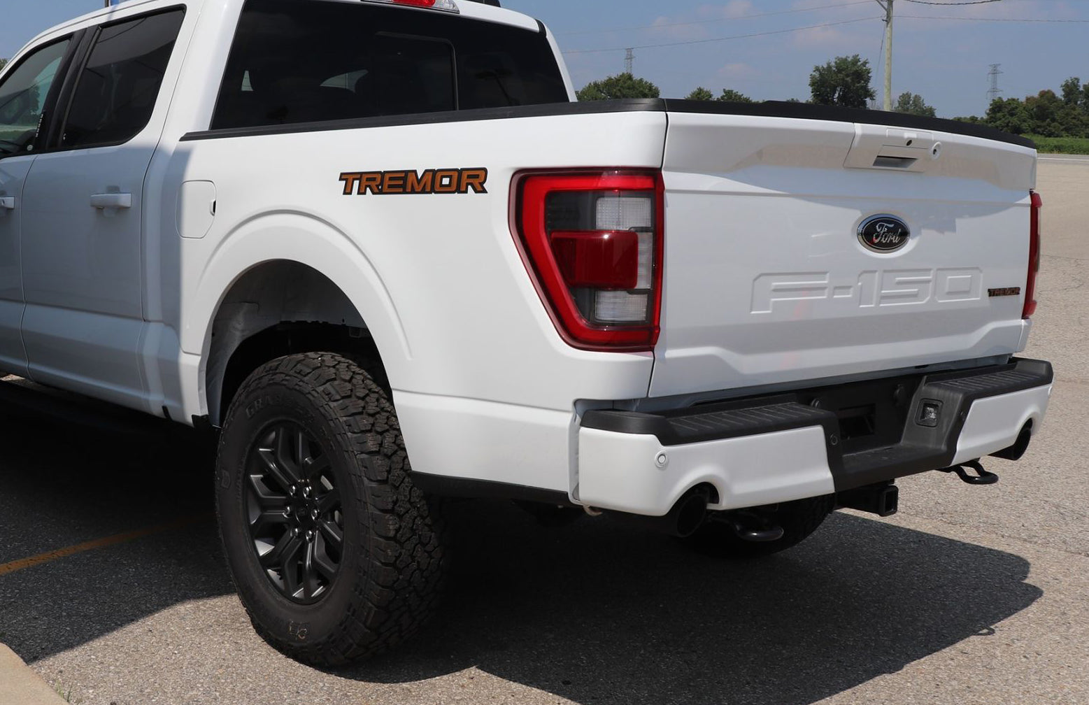 Ford F150 Tremor 2021-Present decal #3729 | Car Pretty Inc.