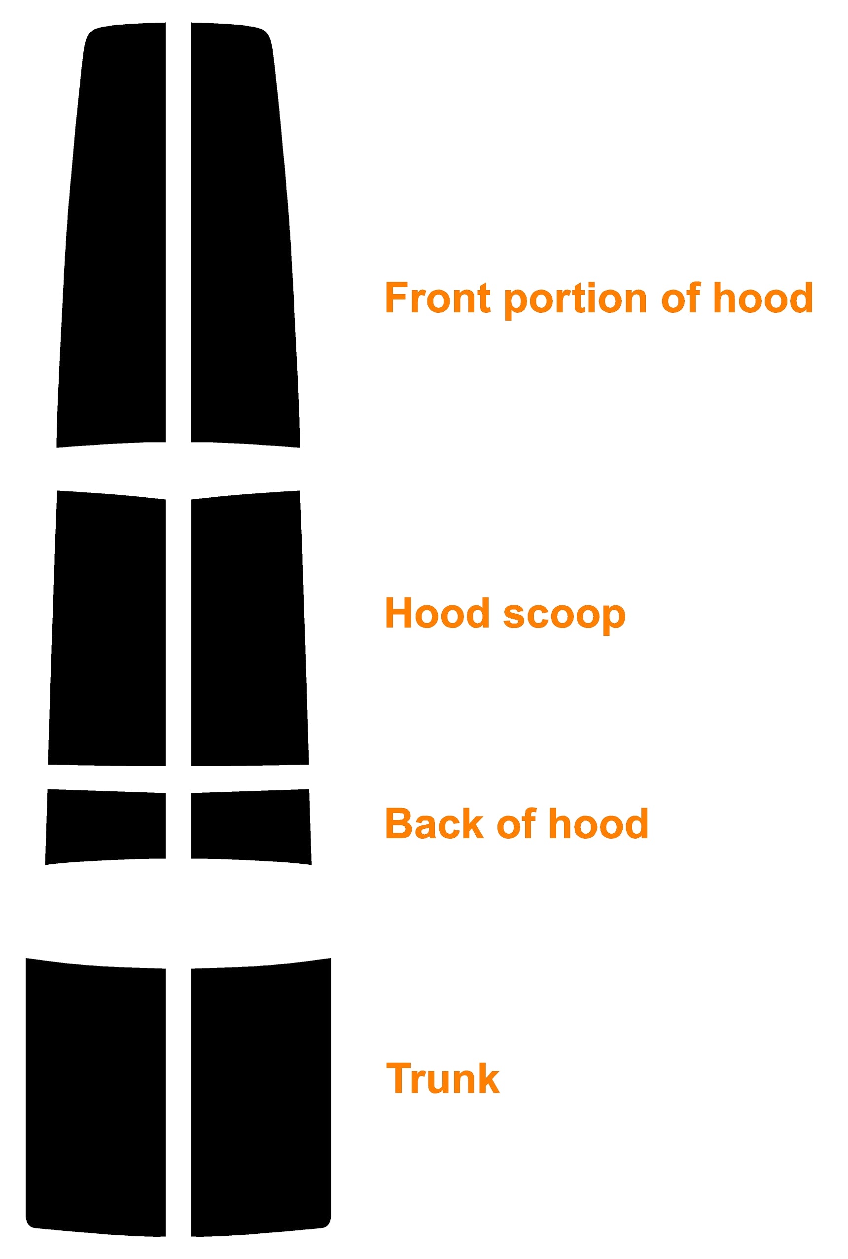 Ford Mustang GT hood, trunk stripes 1999-2004 #2429 | Car Pretty Inc.